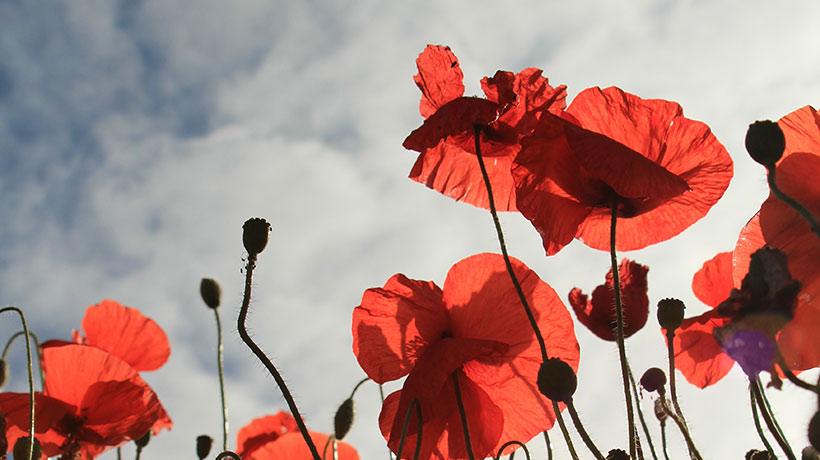 Personnytt inom Frälsningsarmén | Frälsningsarmén